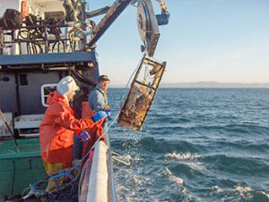 Unsustainable Practices: Overfishing | Global Washington