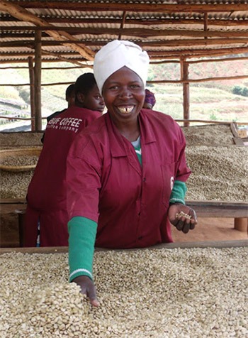 Coffee: The Future of Coffee Farming in a Changing Climate - Global ...
