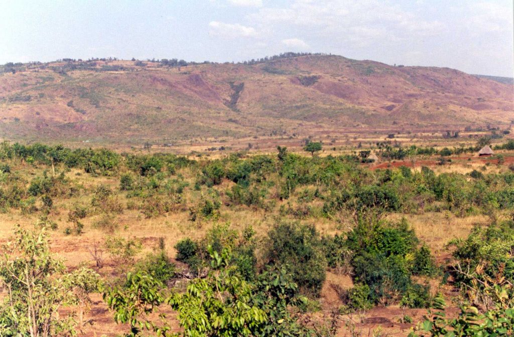 Humbo Ethiopia circa 2000 - Global Washington