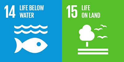 How Can Wildlife Conservation Support Human Development? - Global ...