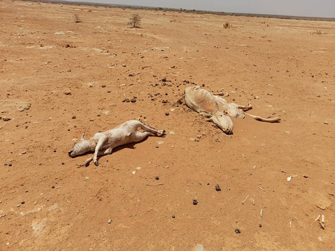 Please Don’t Complain About the Rain - Global Washington