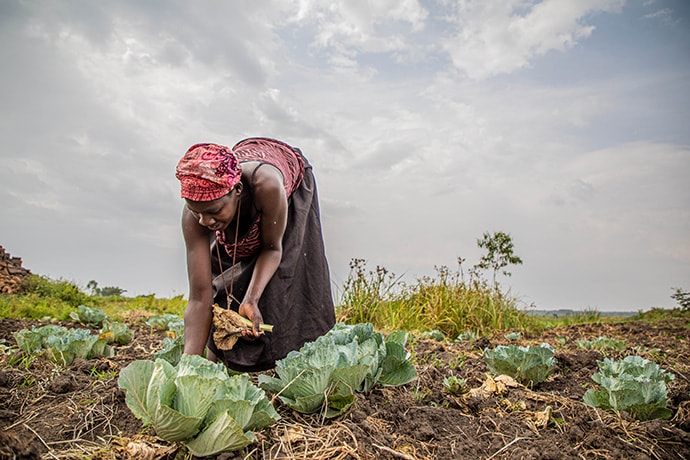 Land Rights: A Cross-Cutting Solution for Poverty, Food Security, and ...